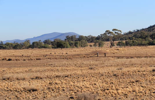 CWA of NSW activates Disaster Relief Fund for flood and drought ...
